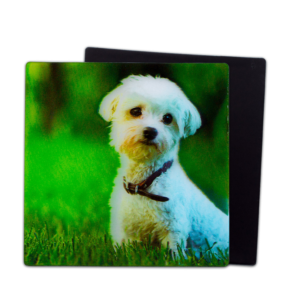 Lovely Puppies 3D Magnets Lenticular 3D Fridge Magnet For Souvenir Gift